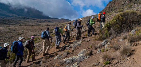 Africa’s Majestic Peaks: A Trekker’s Guide to Iconic Mountains